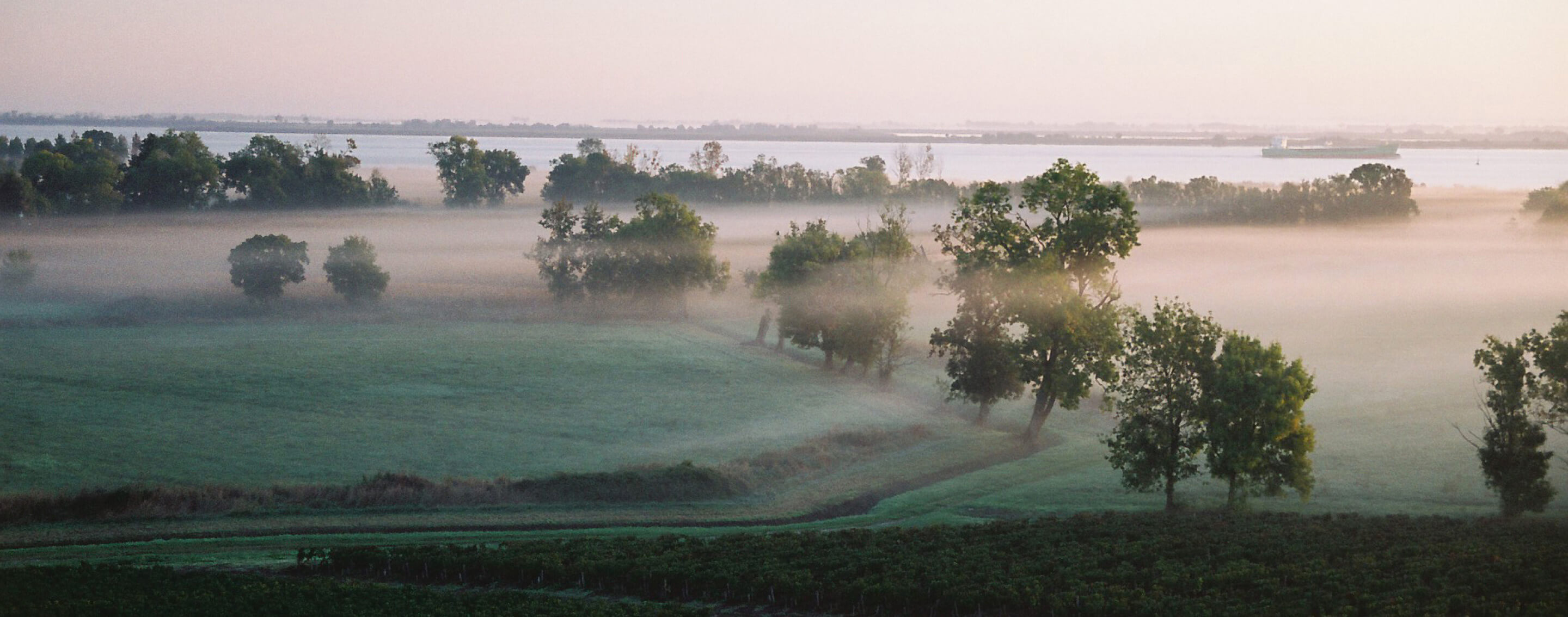 メドック地区のテロワール - Le Conseil des Grands Crus Classés en 1855 - Médoc ...